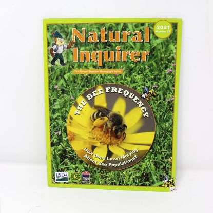 National Symbols Cache. Free